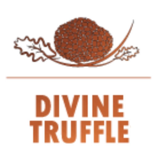 За нас - Професионалисти в изкупуването и продажбата на трюфели ...